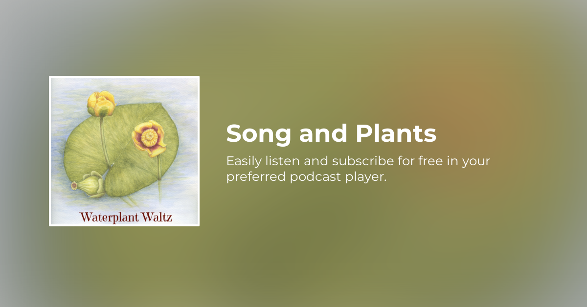 Water Systems Around the World with Andrew Millison! - Song and Plants