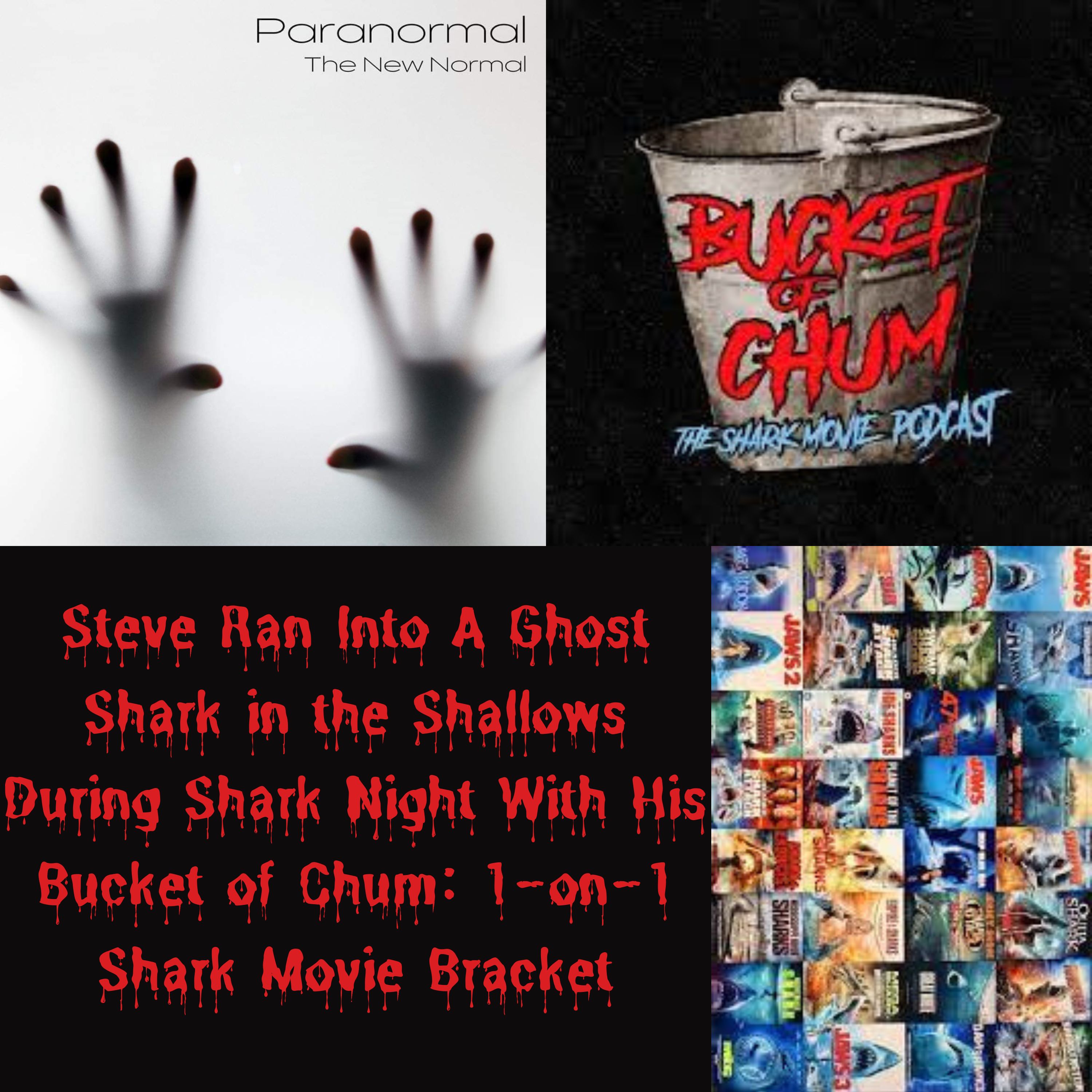 Steve Ran Into A Ghost Shark in the Shallows During Shark Night With ...