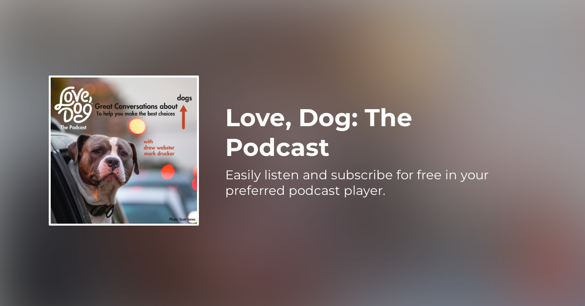 How to have the best relationship with your dog - Love, Dog: The Podcast