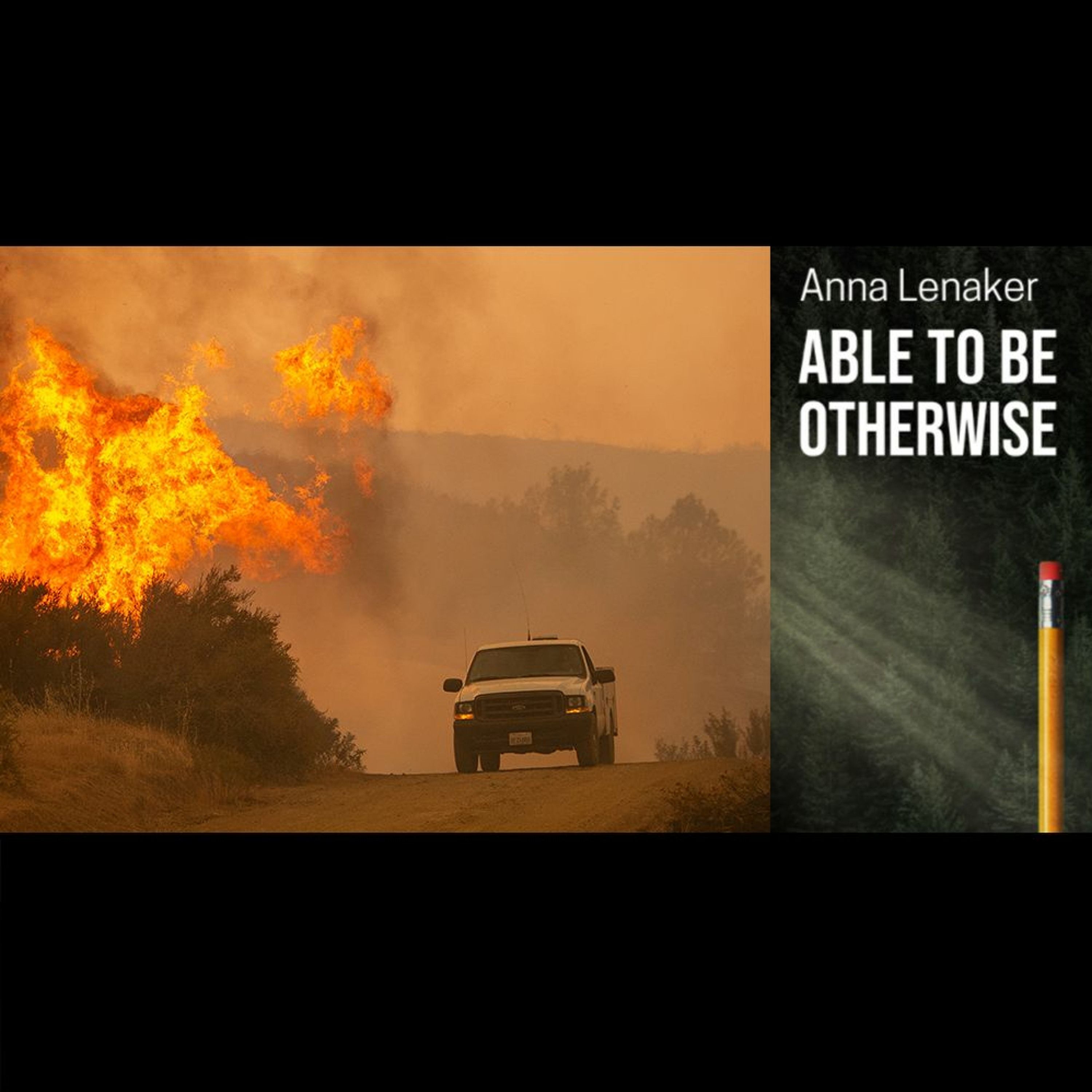 Making Public Policy Personal with Anna Lenaker '19 MPA '20 - Trending Globally: Politics and Policy